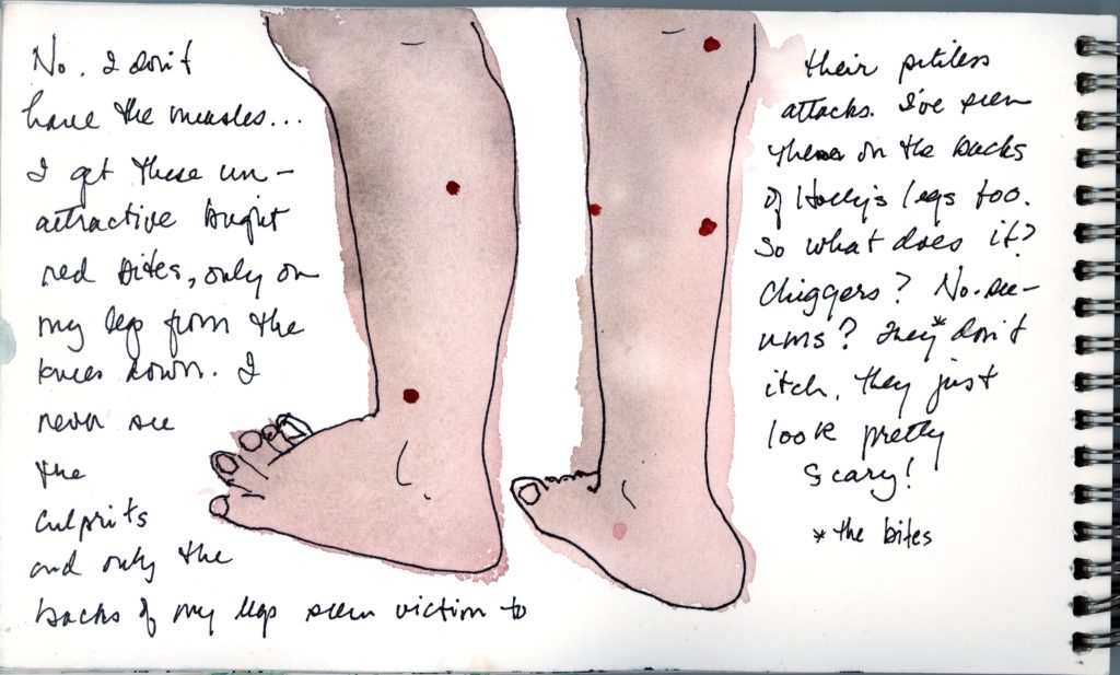 COSTA RICA SKETCHBOOKS | Mary Blocksma